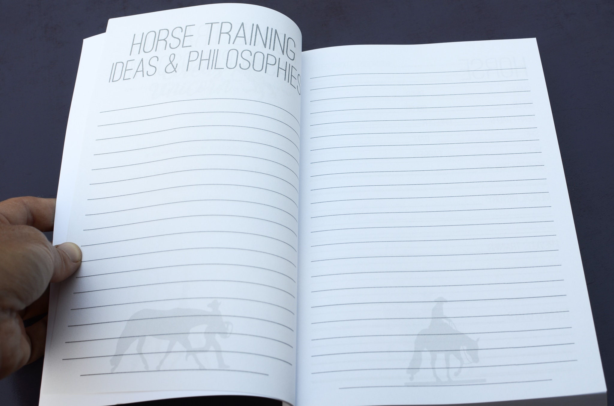 The Horse Trainer's Log Book - Planner & Journal for Equestrian Coaches ...