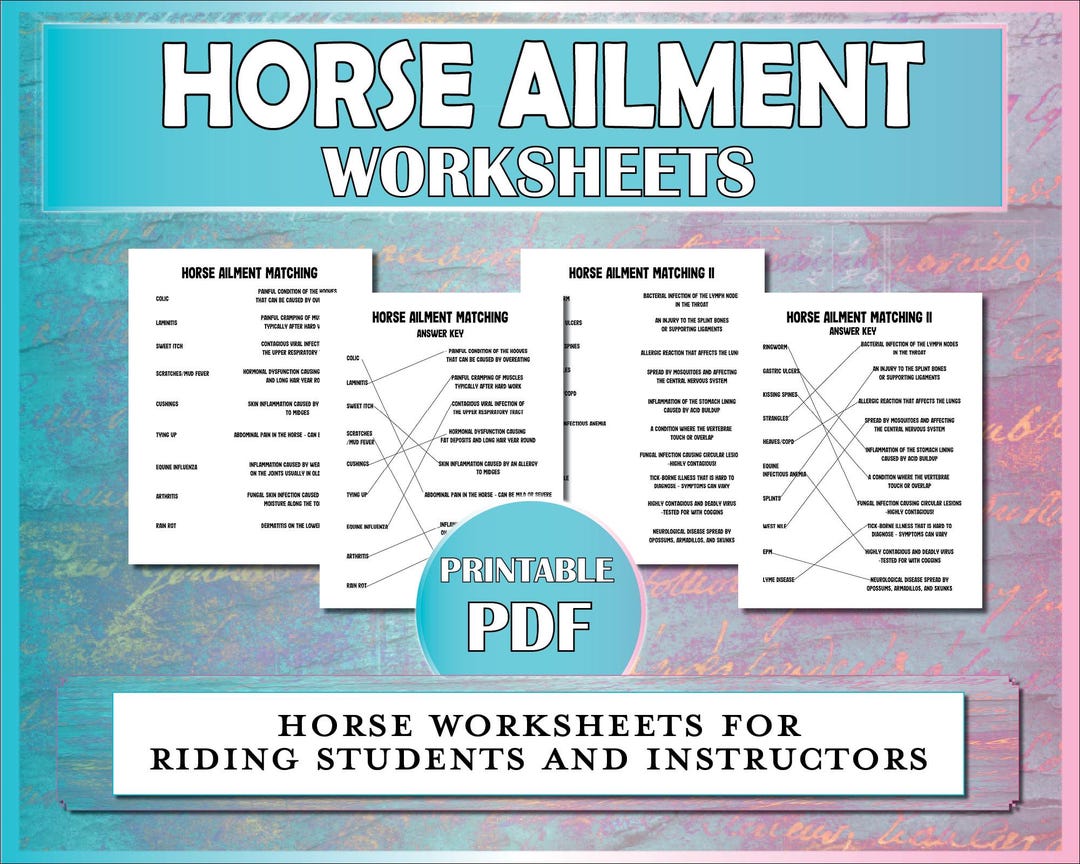 Horse Ailment Printable Worksheet, Equestrian Activity for Riding ...