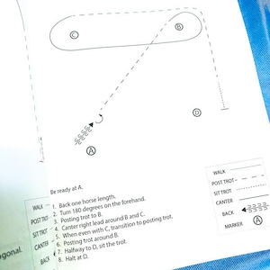 The Book of Horse Show Patterns | Horse Show Pattern Prep for ...