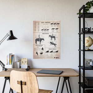Gaits, Rider Position, & Safety Poster, Horse Knowledge Equestrian ...