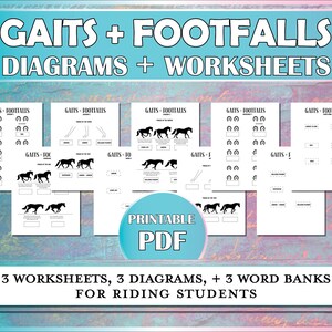 Horse Gaits Printable Diagram, Strides and Footfalls Equestrian ...