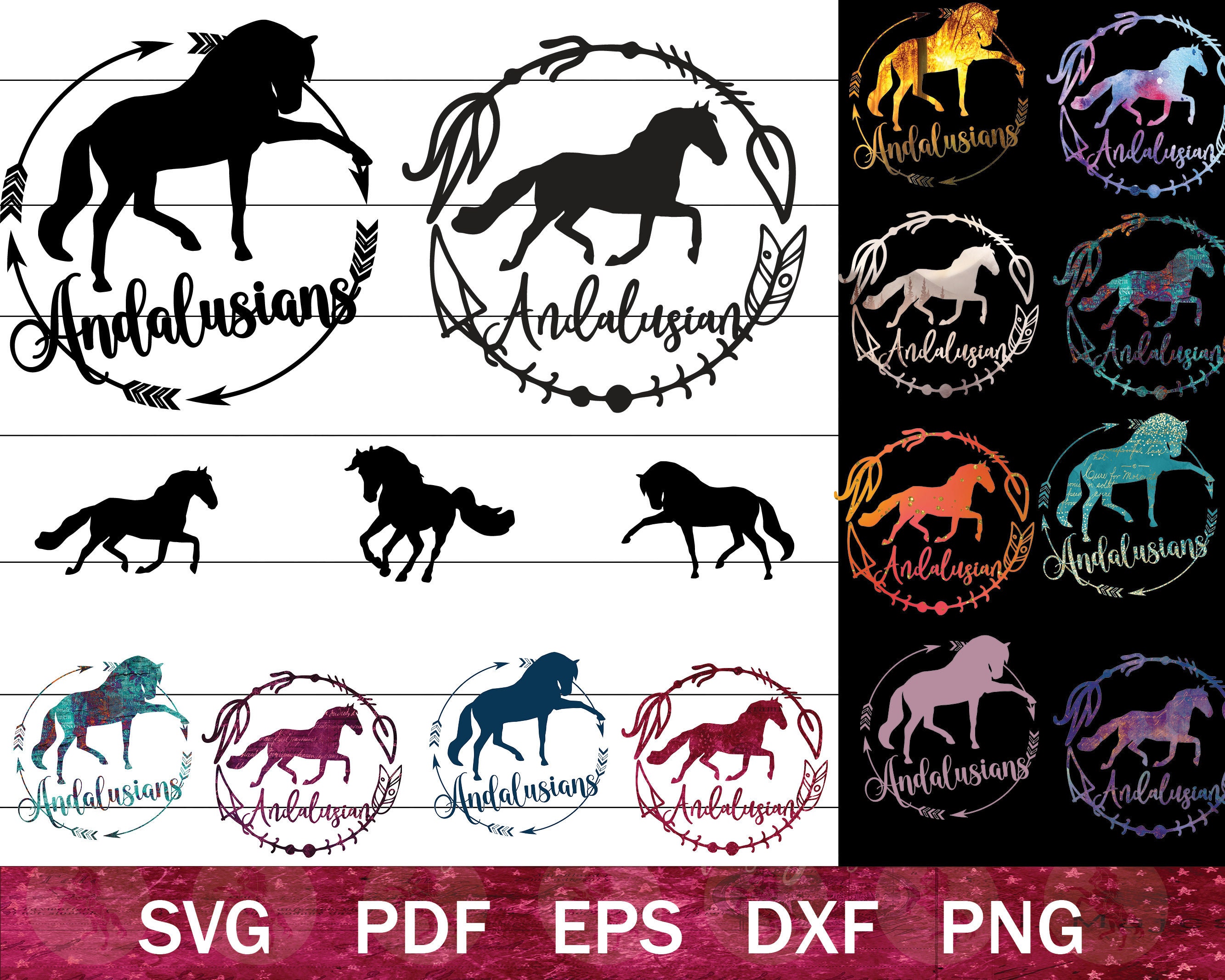 Horse Breed Logo Arabian Horses: A Distinguished And Beautiful Breed