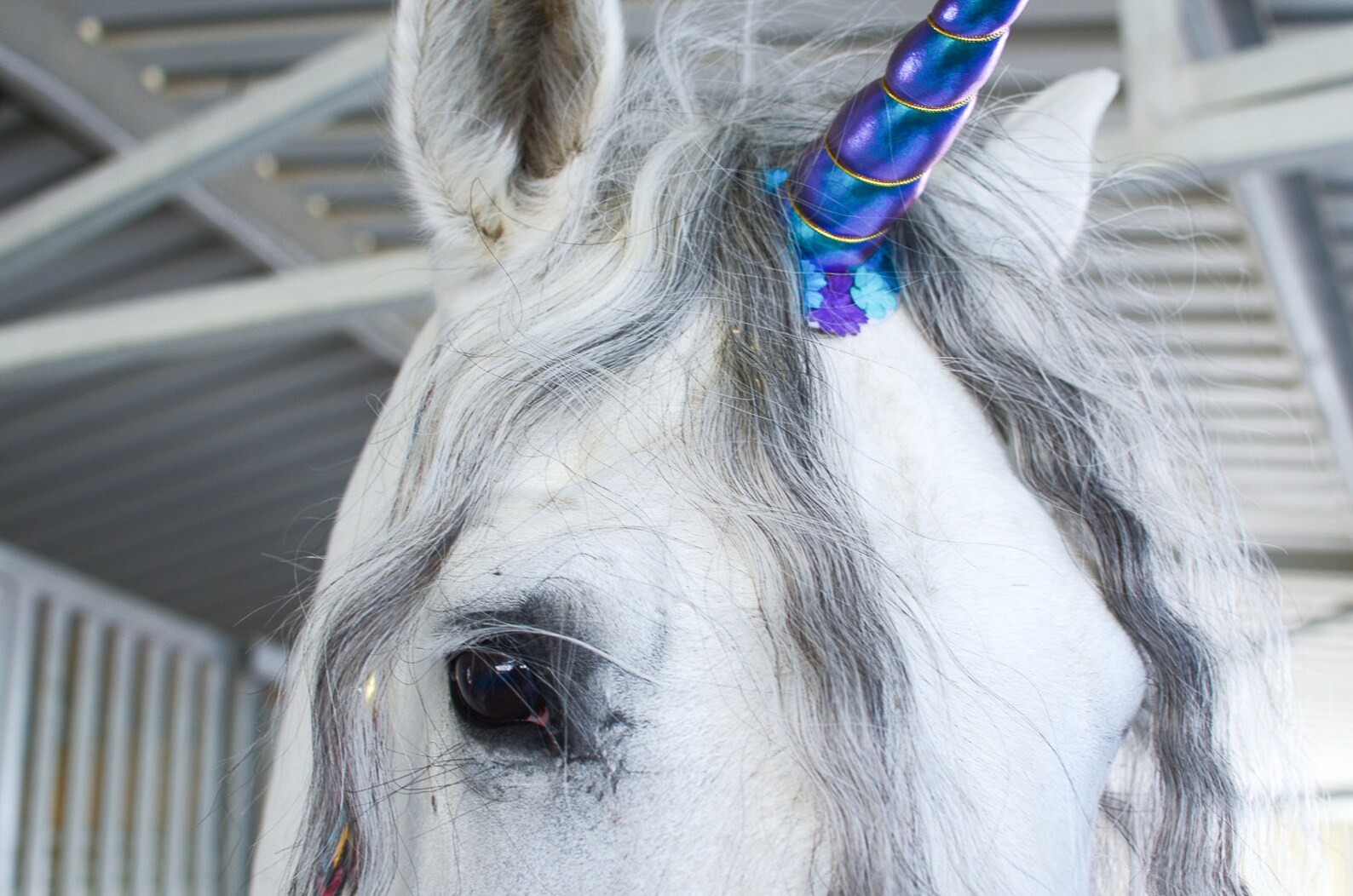 Iridescent Unicorn Horn for Horse With Flowers, Horse Unicorn Costume ...