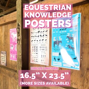 Gaits, Rider Position, & Safety Poster, Horse Knowledge Equestrian ...
