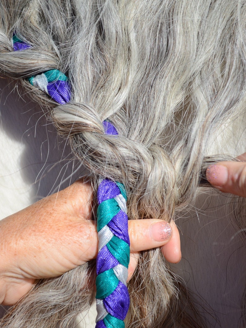 Braided Feather Running Braid Mane Clip in Accessory Mane - Etsy