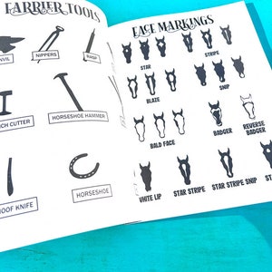The Book of Equestrian Diagrams & Worksheets | Horse Parts and Horse ...