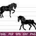 Horse Show SVG for Cricut, Western Horsemanship PNG, Showmanship Horse ...