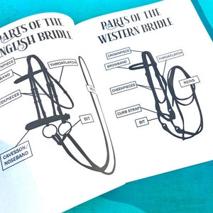 The Book of Equestrian Diagrams & Worksheets | Horse Parts and Horse ...