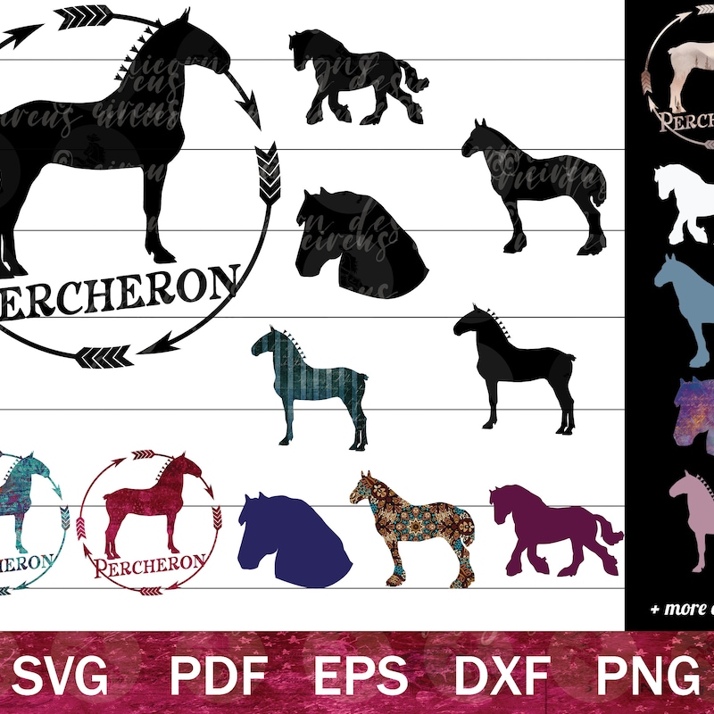 Percheron - Etsy