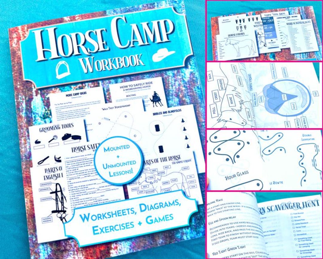 Horse Camp Workbook | Equestrian Knowledge and Riding Activities for ...