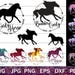 Riding Student's Horse Workbook | Horse Diagram and Knowledge ...