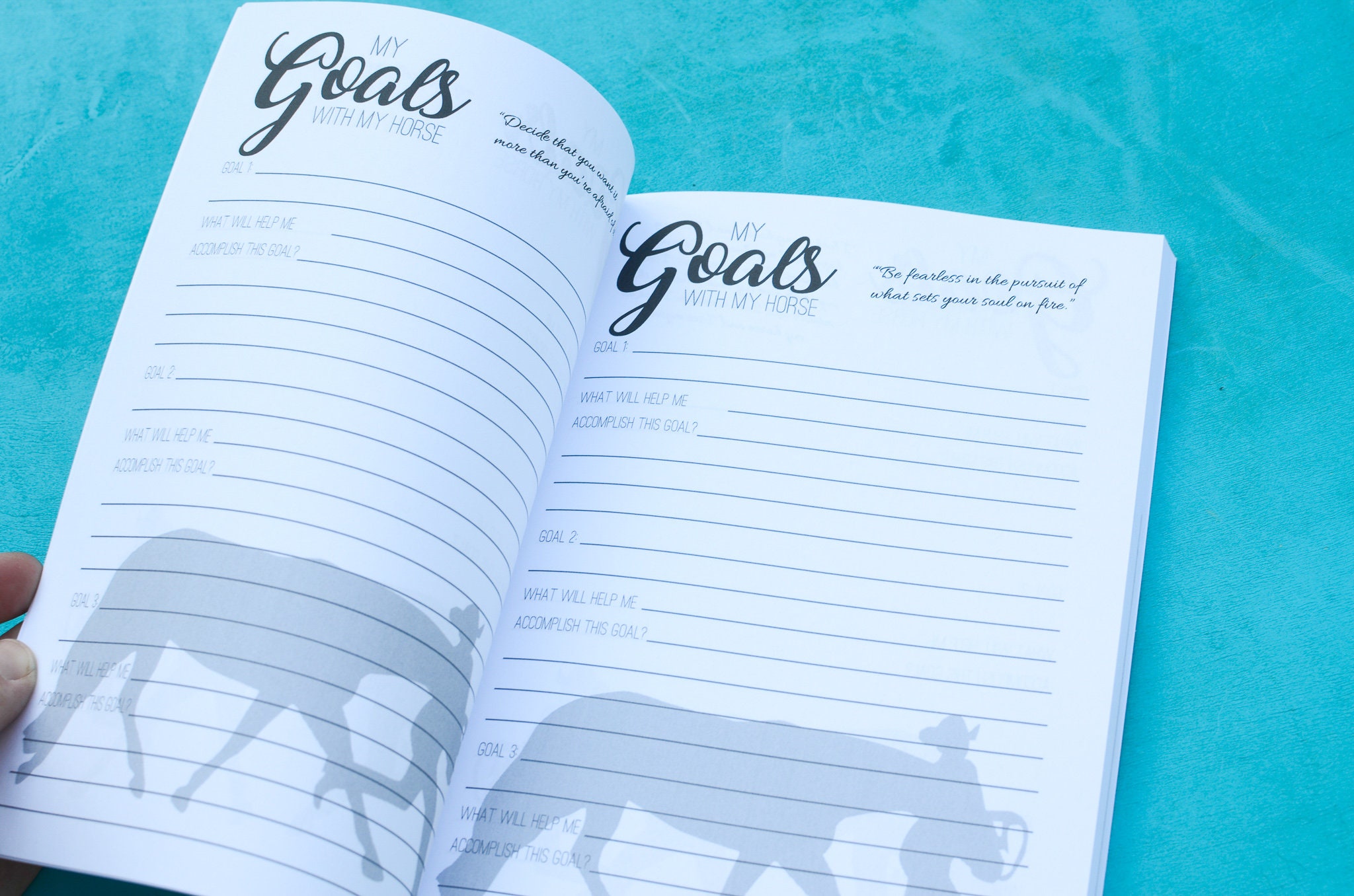 The Horse Show Journal Equestrian Log Book Horse Show Points - Etsy