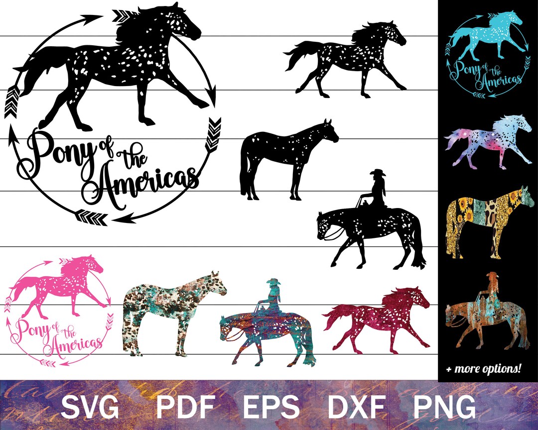 POA SVG Bundle, Horse Show Pony Clip Art, Pony of the Americas ...