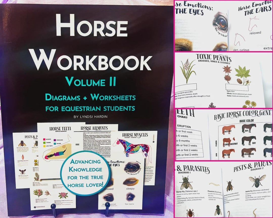 The Horse Workbook Vol. II | Diagrams, Lessons & Worksheets for Growing ...