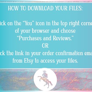 Horse Riding Safety Printable Diagram, Equestrian Safety Activity for ...