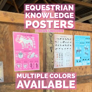 Gaits, Rider Position, & Safety Poster, Horse Knowledge Equestrian ...