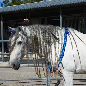 Feather Neck Wreath for Horses and Ponies *custom* - Braided Fabric ...