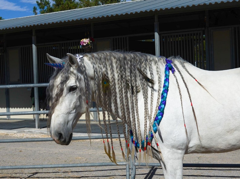 Feather Neck Wreath for Horses and Ponies custom Braided - Etsy
