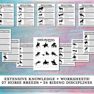 Intermediate Rider Lesson Plan MEGA Bundle - Horseback Riding Exercises ...