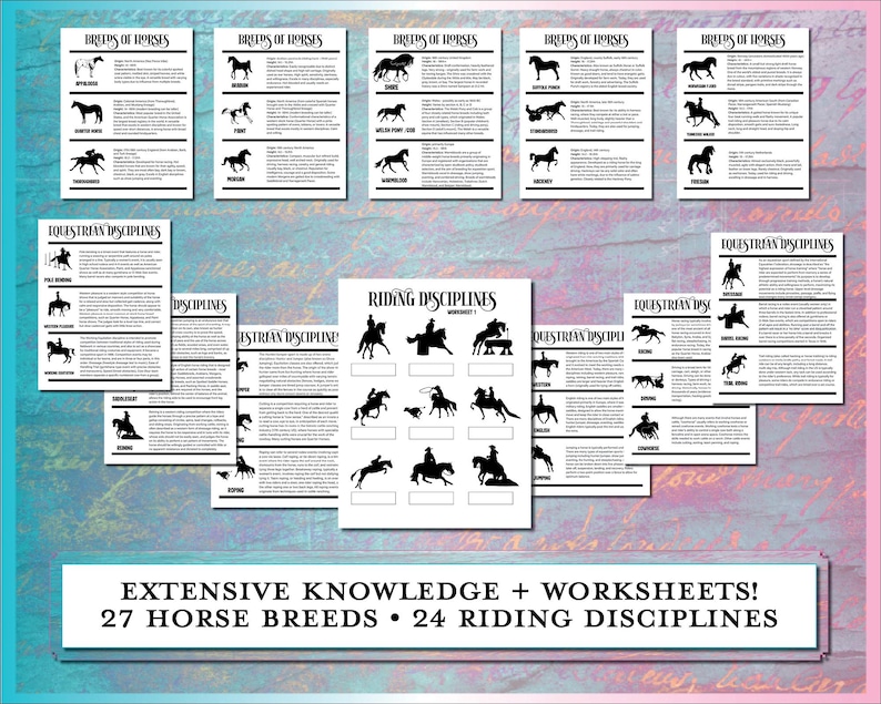 Intermediate Rider Lesson Plan MEGA Bundle - Horseback Riding Exercises ...