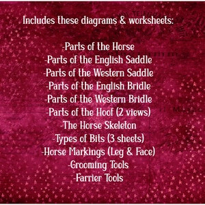 Equestrian Knowledge Diagrams & Worksheets Horse Diagrams, Equine ...