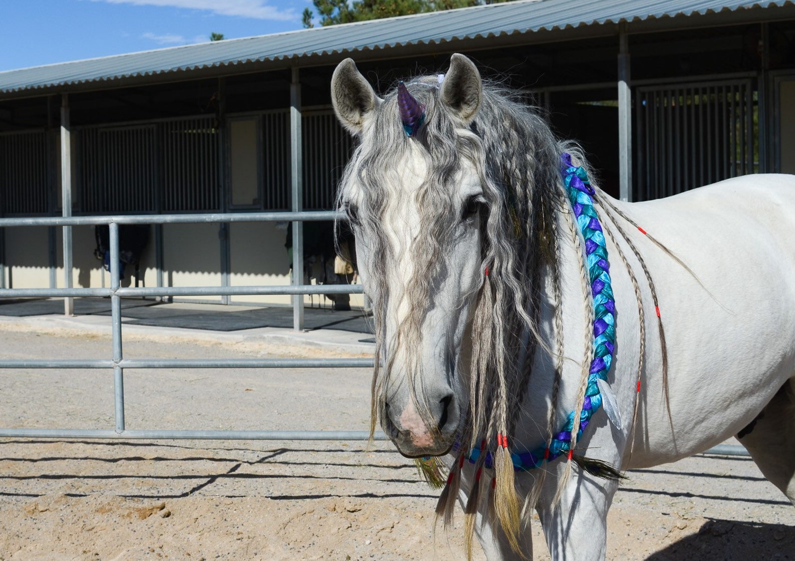 Feather Neck Wreath for Horses and Ponies *custom* - Braided Fabric ...