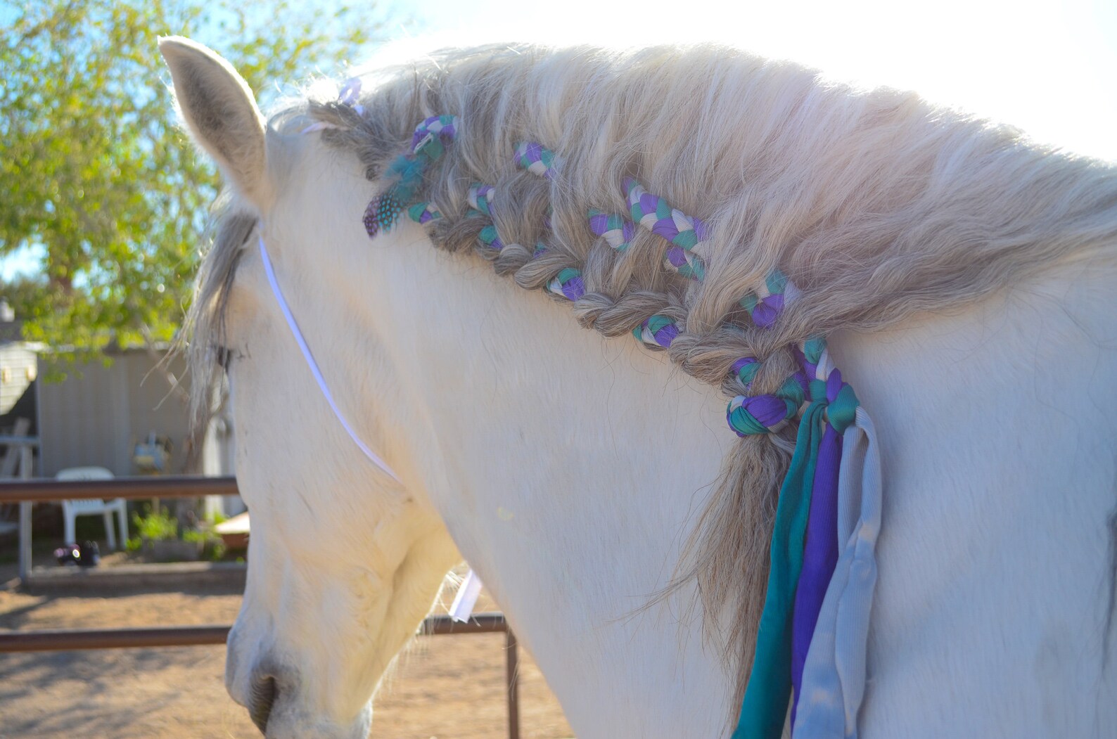 Braided Feather Running Braid Mane Clip in Accessory Mane - Etsy