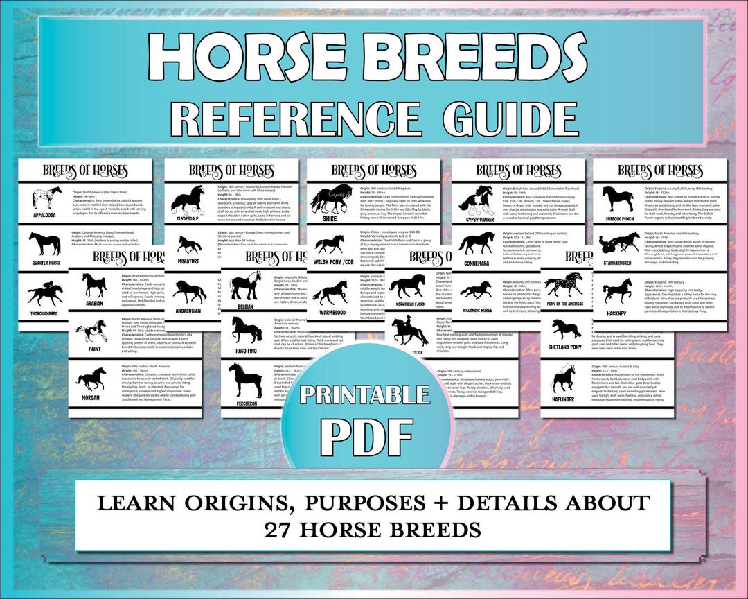 Horse Breed Characteristics Printable Diagrams, Horse Breeds Equestrian ...