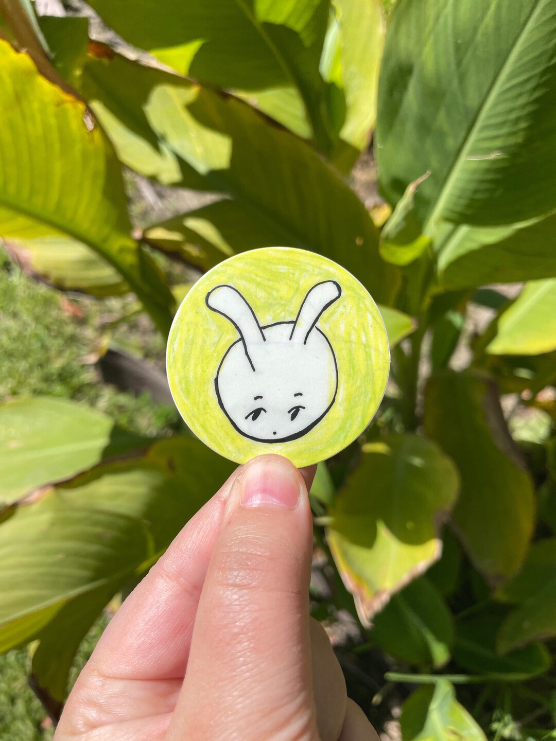 Spring Bun Circle Sticker - Etsy