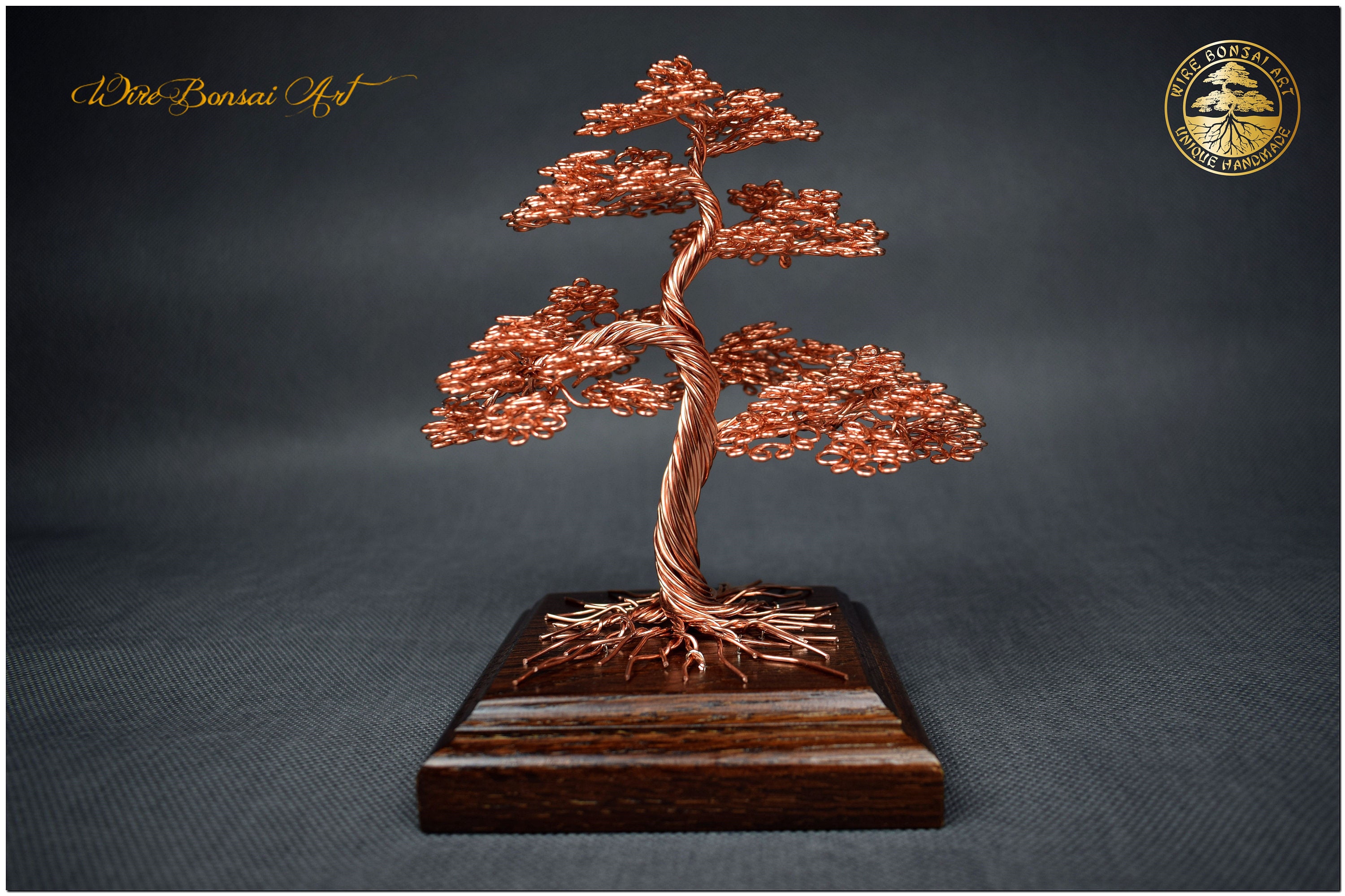 Mini Wire Bonsai Tree Made of Copper Engraved Dedication - Etsy