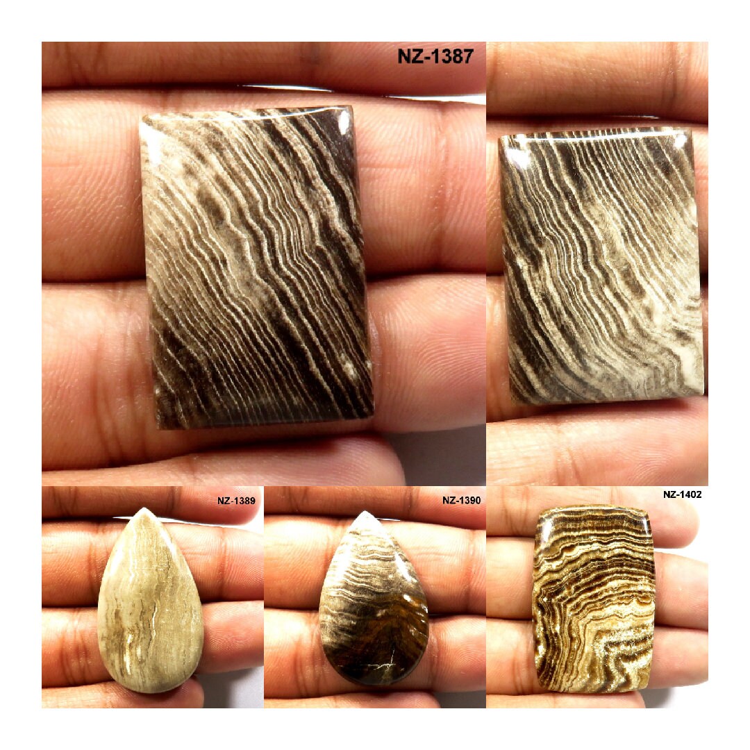 Natural Petrified Wood Jasper Gemstone Cabochon , Wood Petrified Jasper ...