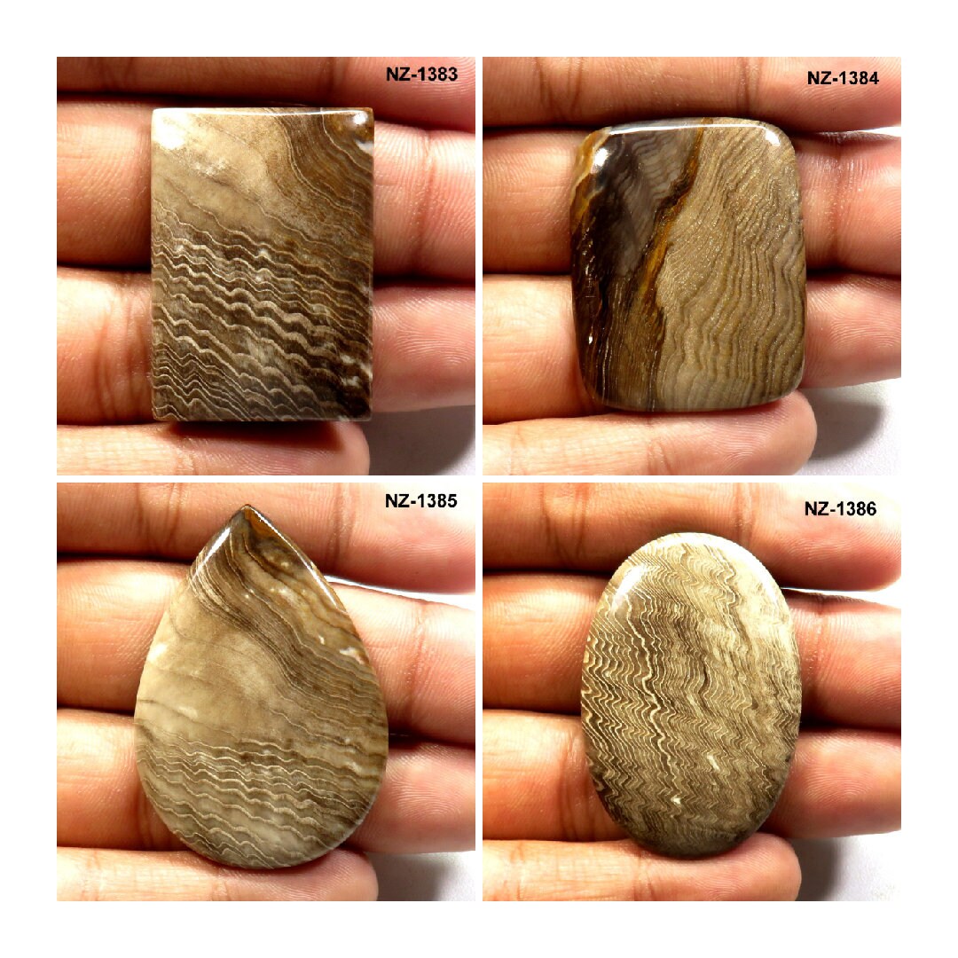 Natural Petrified Wood Jasper Gemstone Cabochon , Wood Petrified Jasper ...