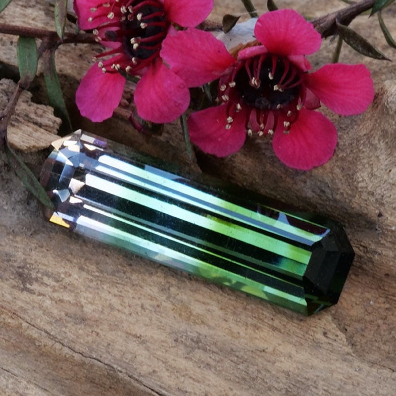 Bicolor Tourmaline - Etsy