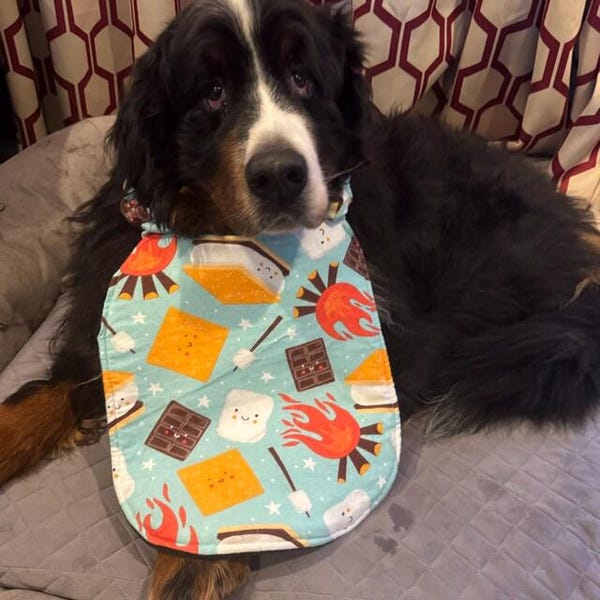 Dog Drool Bib - Etsy