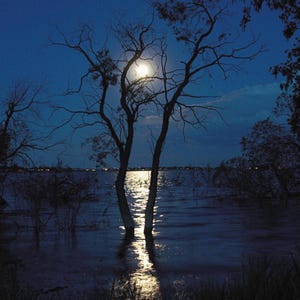 Full Moon Over Boyd Lake Photograph Print: Colorado Night Scene Wall ...