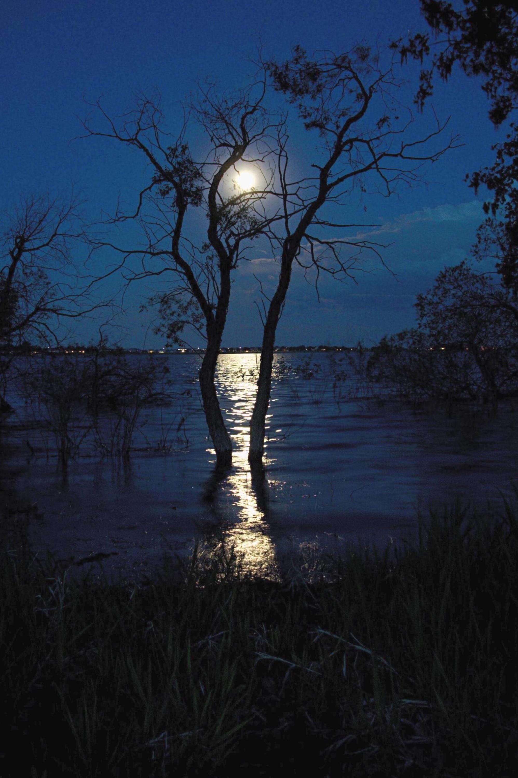 Full Moon Over Boyd Lake Photograph Print: Colorado Night Scene Wall ...