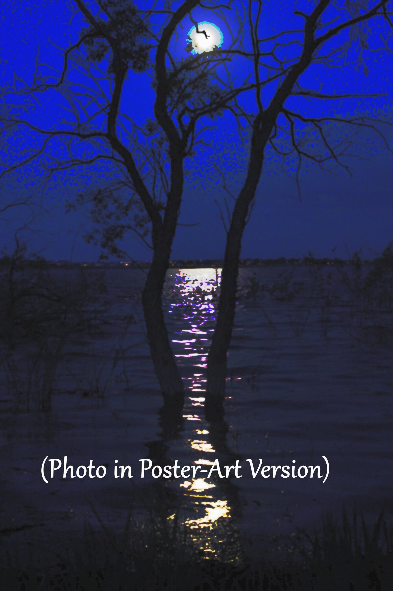 Full Moon Over Boyd Lake Photograph Print: Colorado Night Scene Wall ...