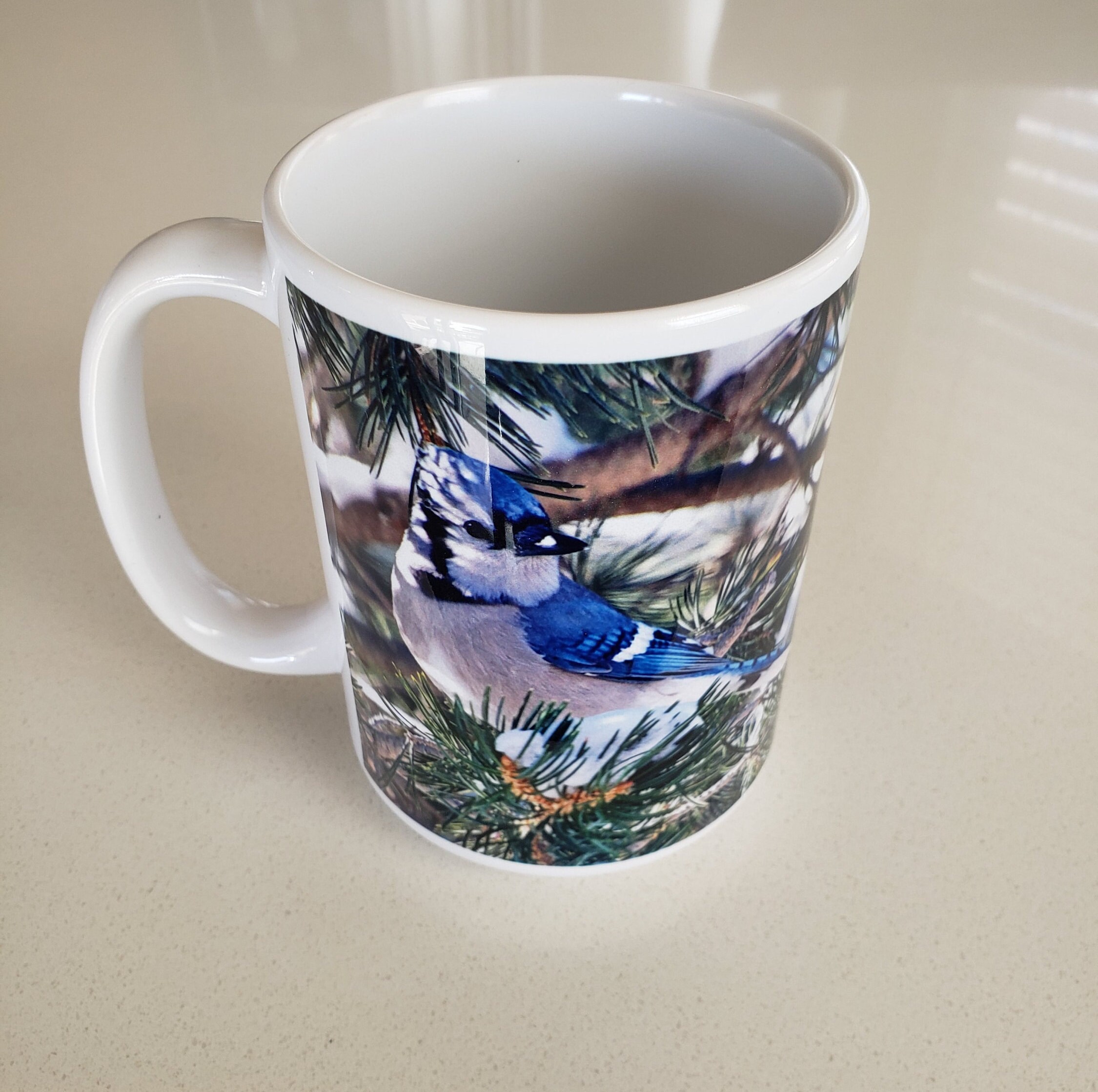Coffee Mug With Blue Jay Photos 2 Lovely Blue Jay Photographs - Etsy