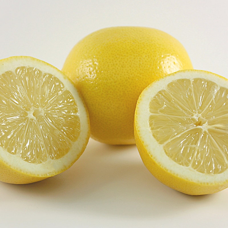 Lemon Photography - Etsy