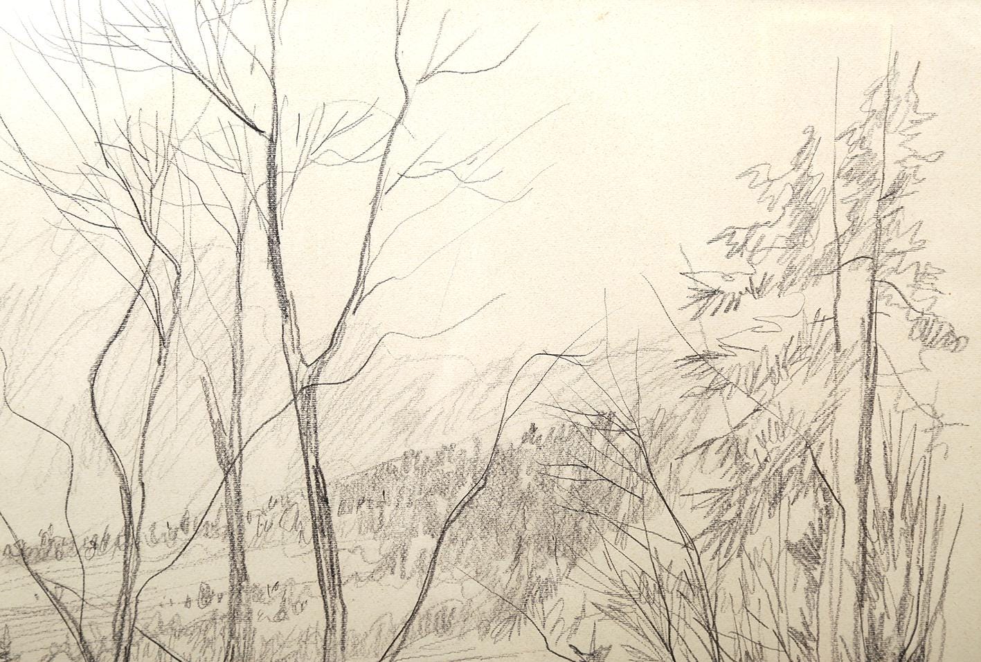 Vintage 1976 Graphite Landscape Drawing: Little Village, Hillside Scene ...