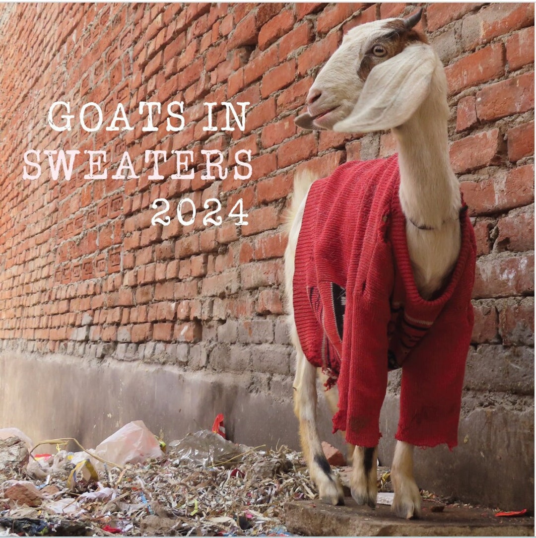 2024 Sweatered Goat Calendar - Etsy