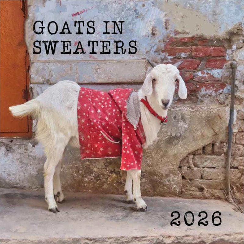 Goat Calendars 2026 - Etsy
