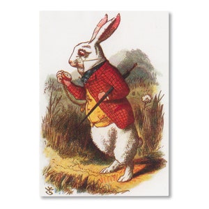 Alice in Wonderland Vinyl Sticker Decal White Rabbit Pocket Watch ...