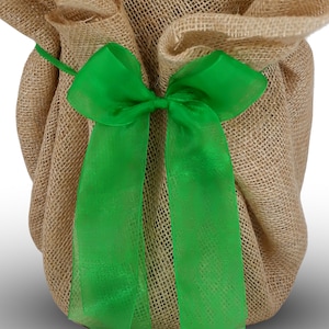 Rose 'fantastic at 60' - Happy Birthday Rose Gift Wrapped With Huge Bow ...