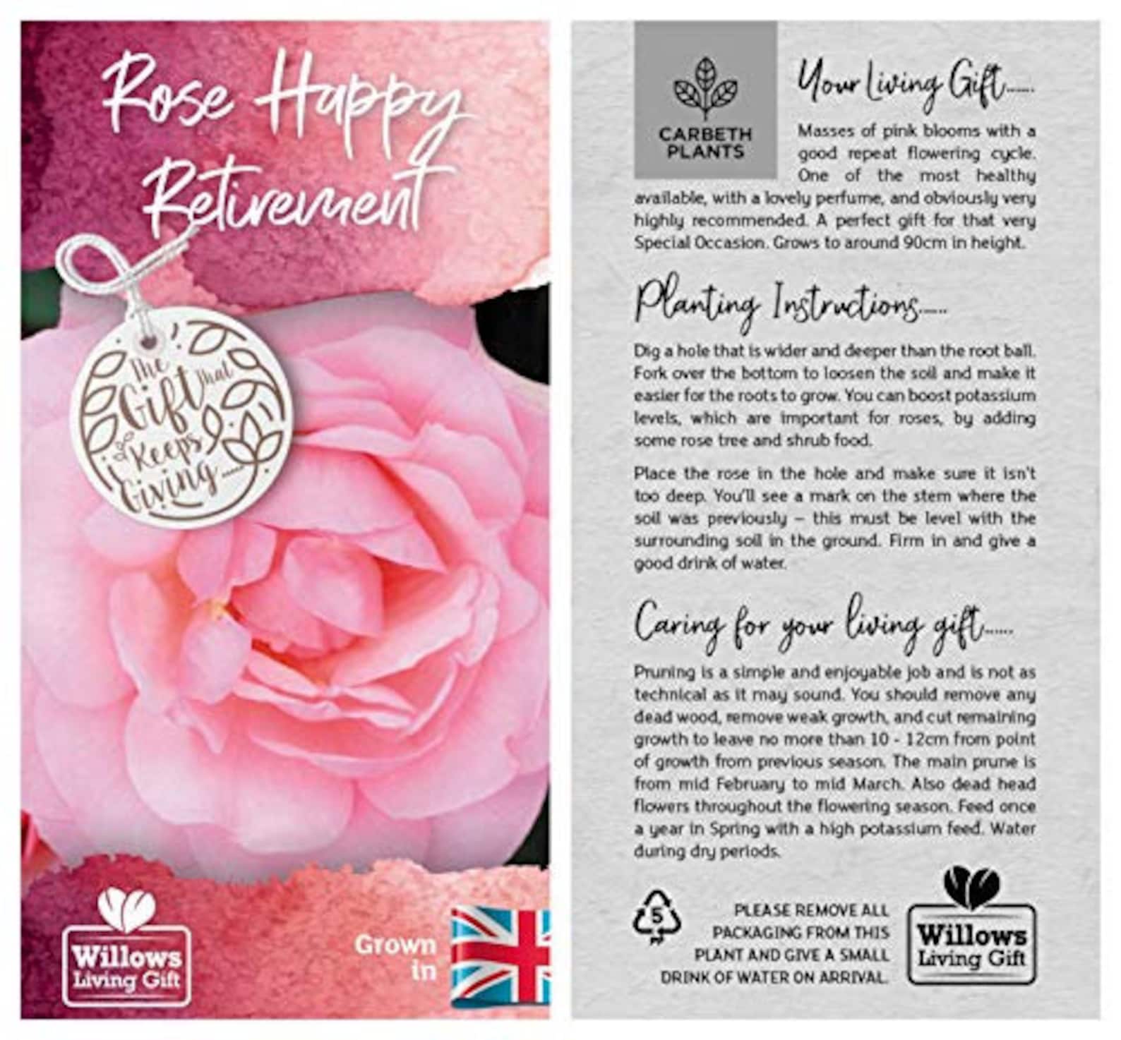 Happy Retirement Rose Bush Gift Wrapped Help A Colleague or - Etsy UK