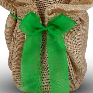 Happy Retirement Rose Bush Gift Wrapped - Help A Colleague or Friend ...