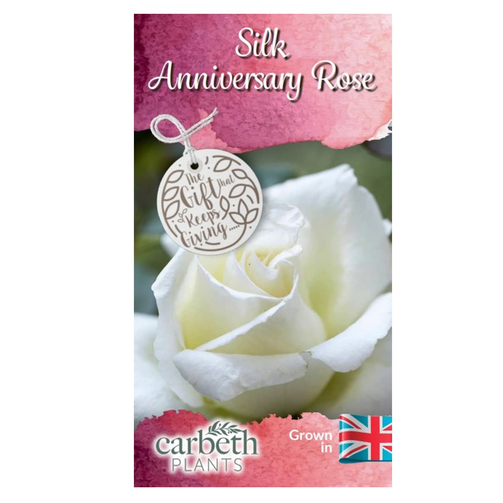 Silk Wedding Rose 12th Anniversary Rose Bush Gift Wrapped - Etsy UK