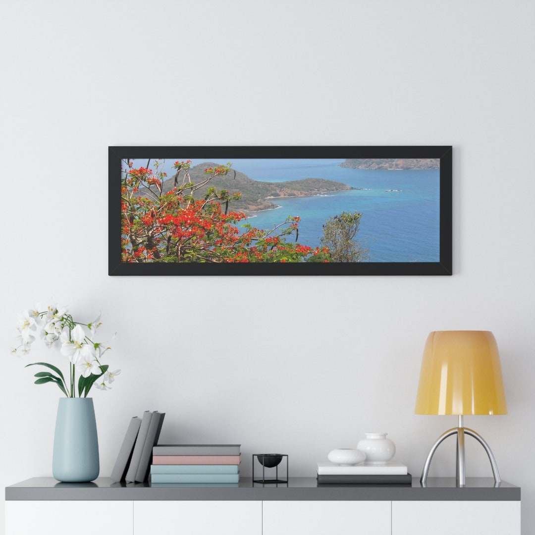 Flamboyant Tree- St Thomas, USVI - Etsy