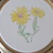 Vintage Daisy Trivet Made in Japan Ceramic Metal Hot Plate Hot Pad ...