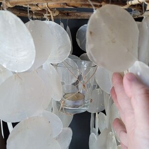 Large Capiz Shell Chandelier Wind Chime Hanging Seashell Candelabra - Etsy